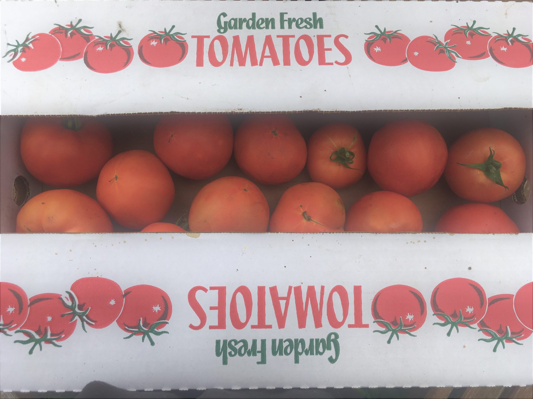 Pre-Order Tomato Flats – House In The Woods Farm